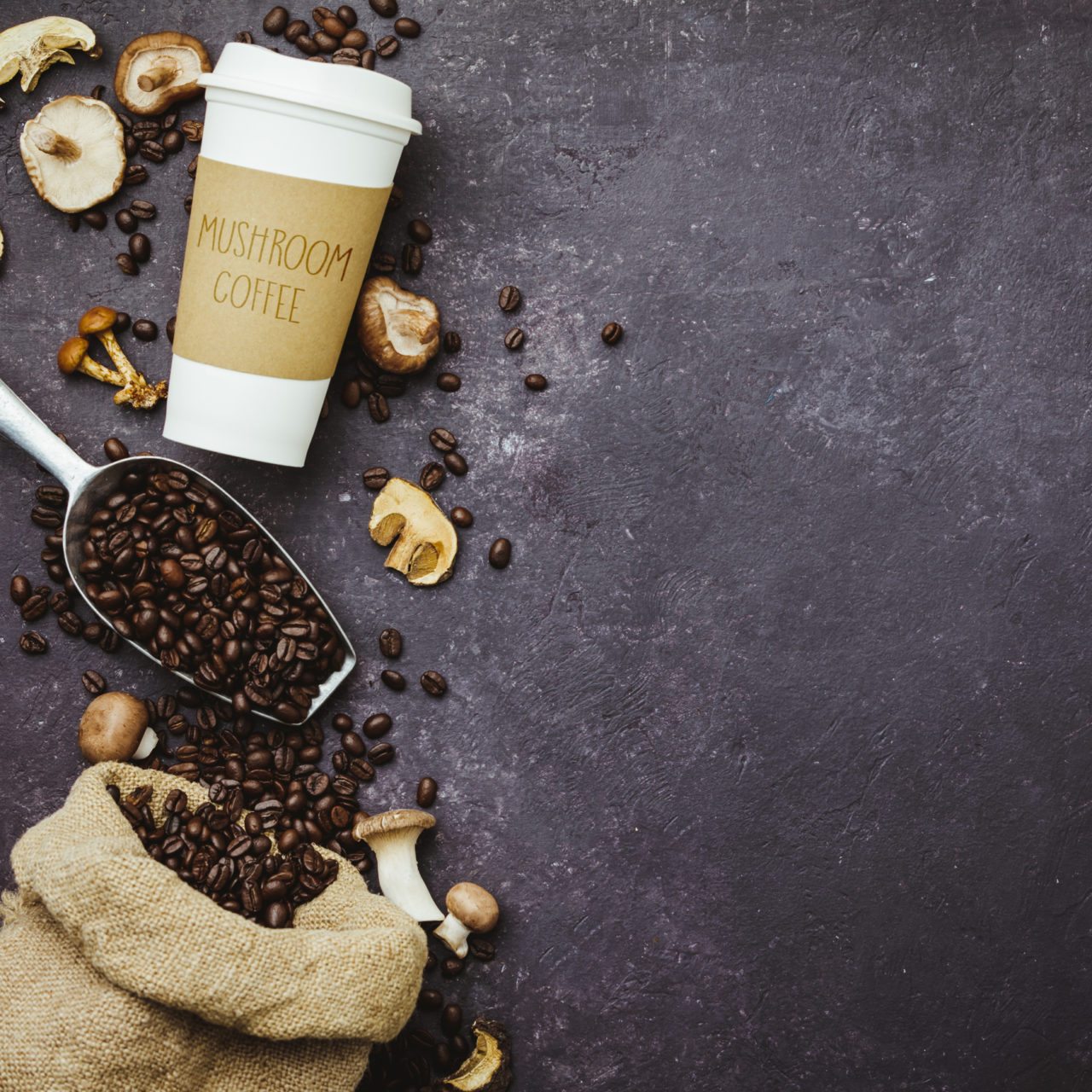 Functional Fungi – Mushrooms are Trending in Food Service - Epicurean Group
